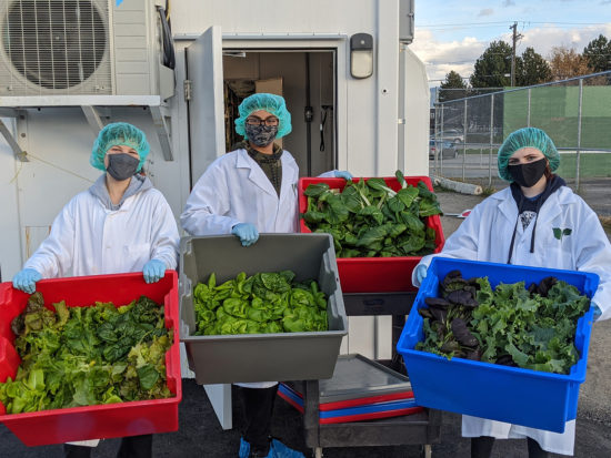 Kelowna school embraces new container farm - Country Life in BC