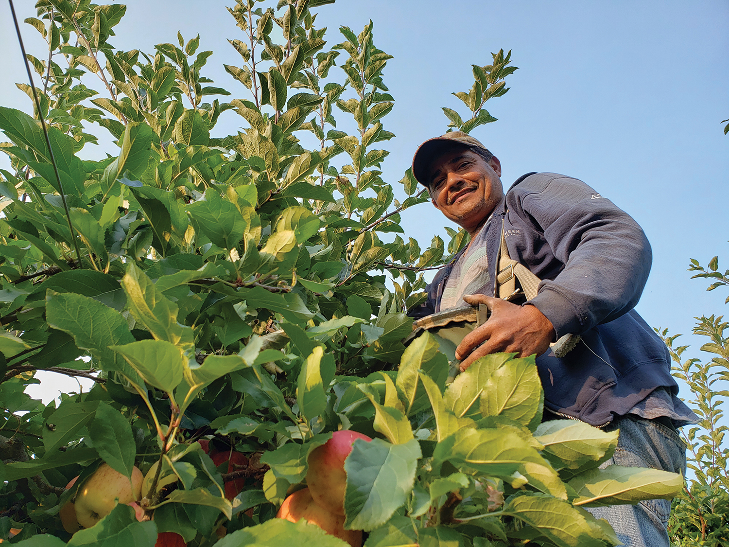 Growers anxious about labour - Country Life in BC