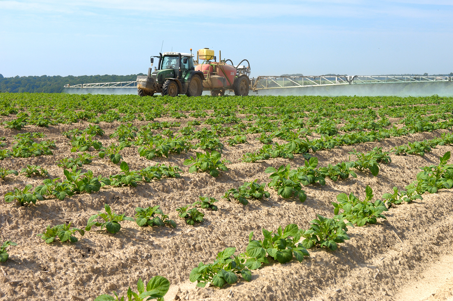 Potato growers keep seed treatments - Country Life in BC