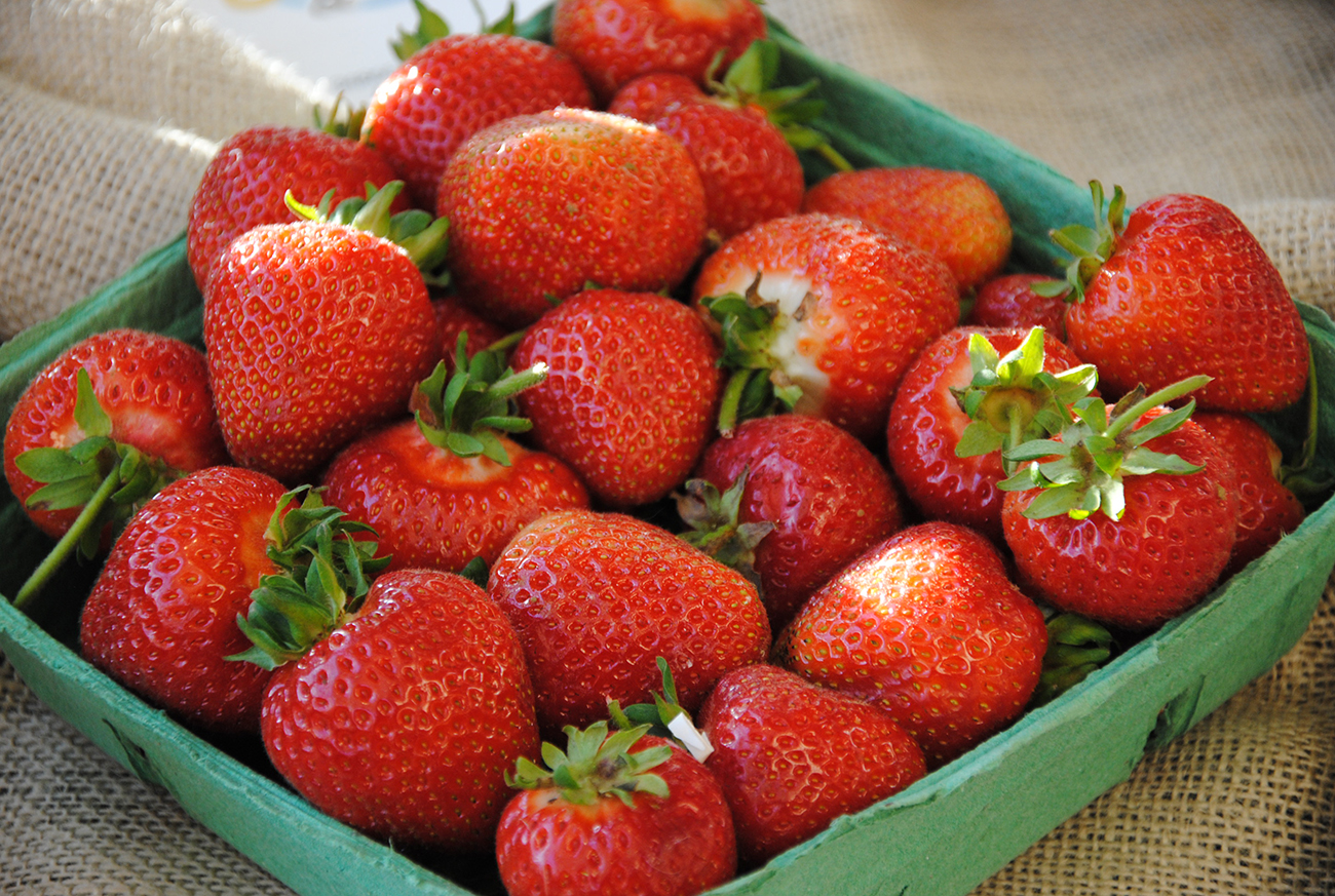 Weather chills BC berries - Country Life in BC
