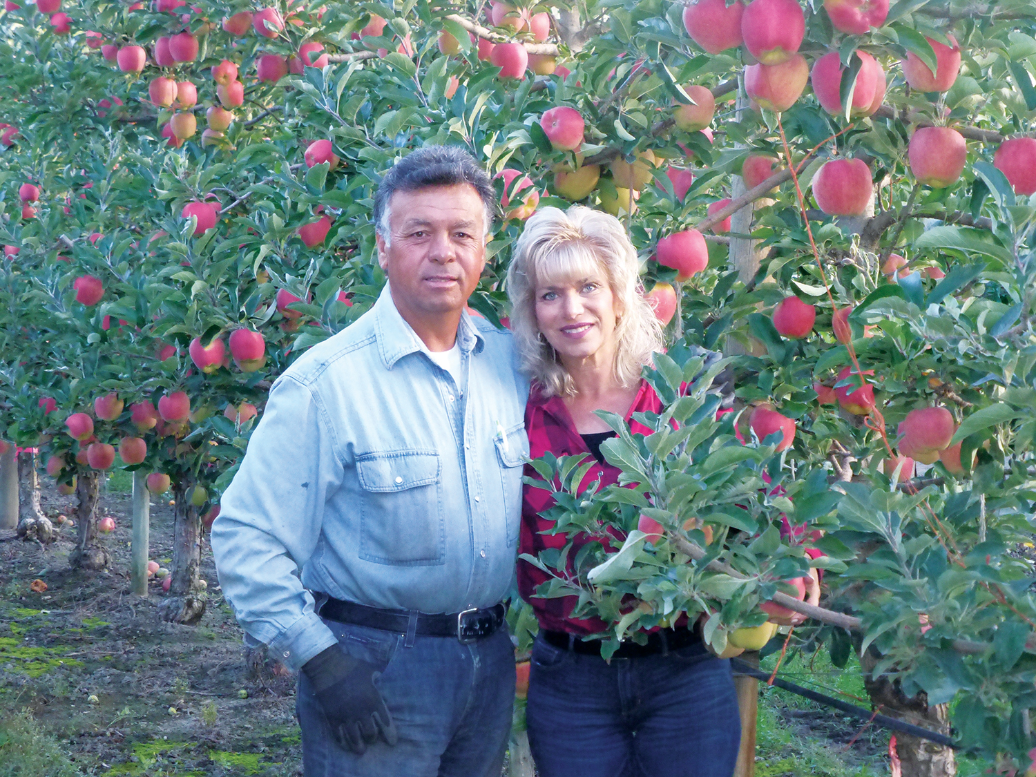 Tree fruit growers struggle to source plants - Country Life in BC