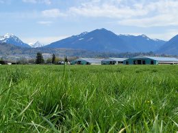 Farm status requires proof - Country Life in BC