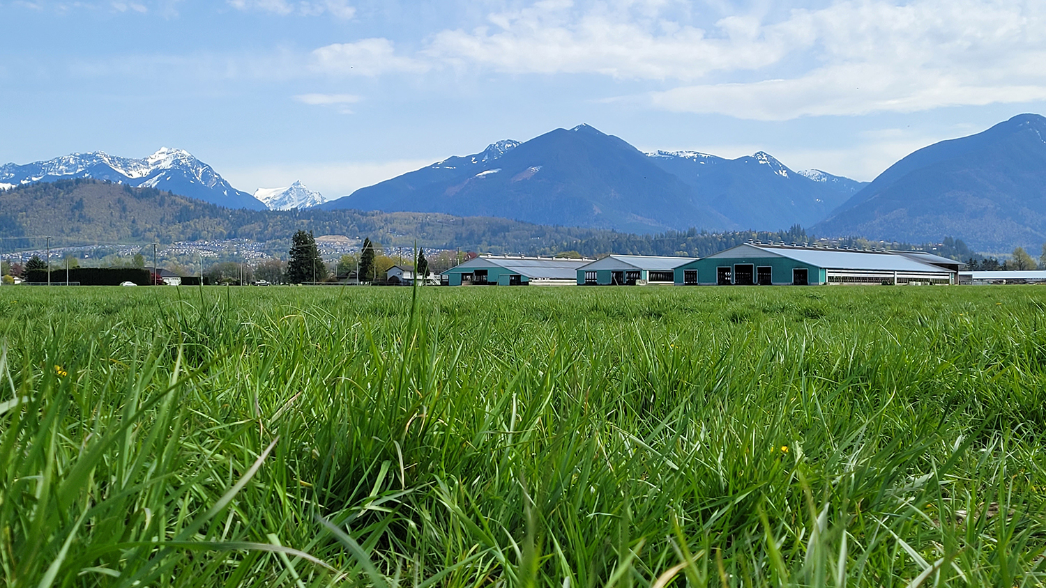 BC farmland values slow - Country Life in BC