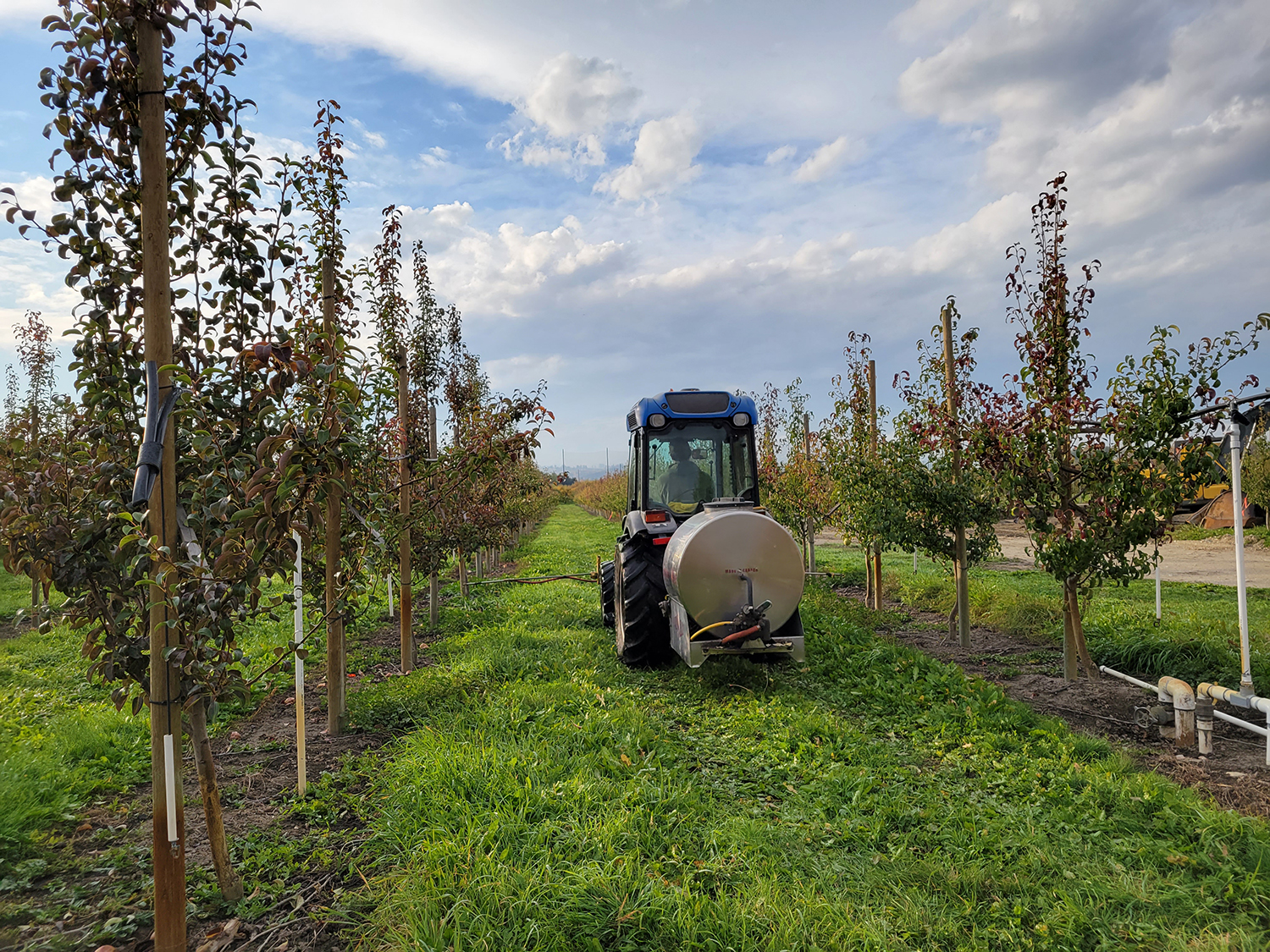 New rules for pesticide applications - Country Life in BC