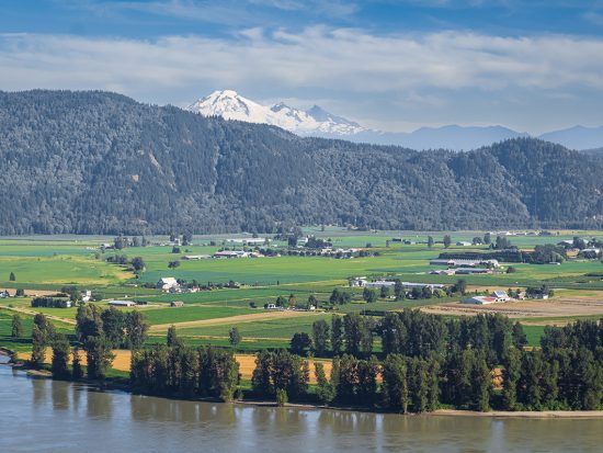 BC farmland values fall - Country Life in BC