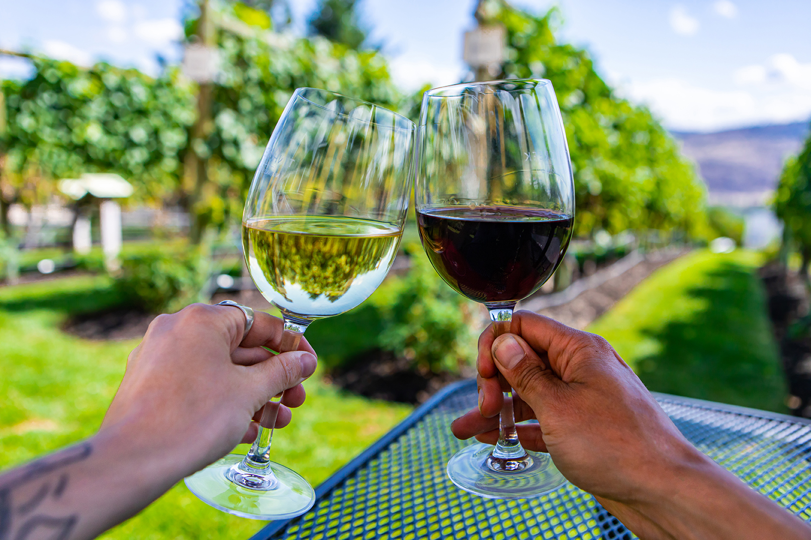 BC-Alberta sign wine MOU - Country Life in BC