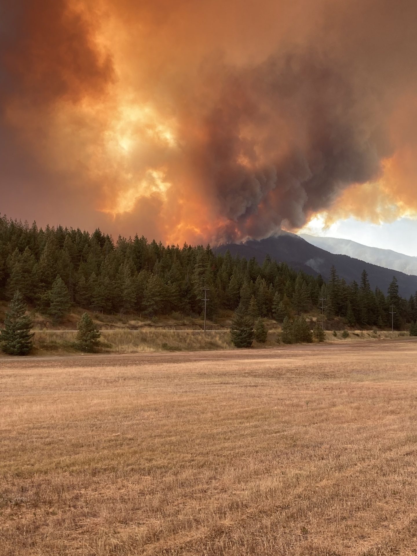 Wildfires rip through Southern Interior - Country Life in BC