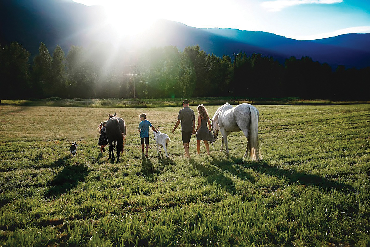 Producers struggle to talk about mental health - Country Life in BC