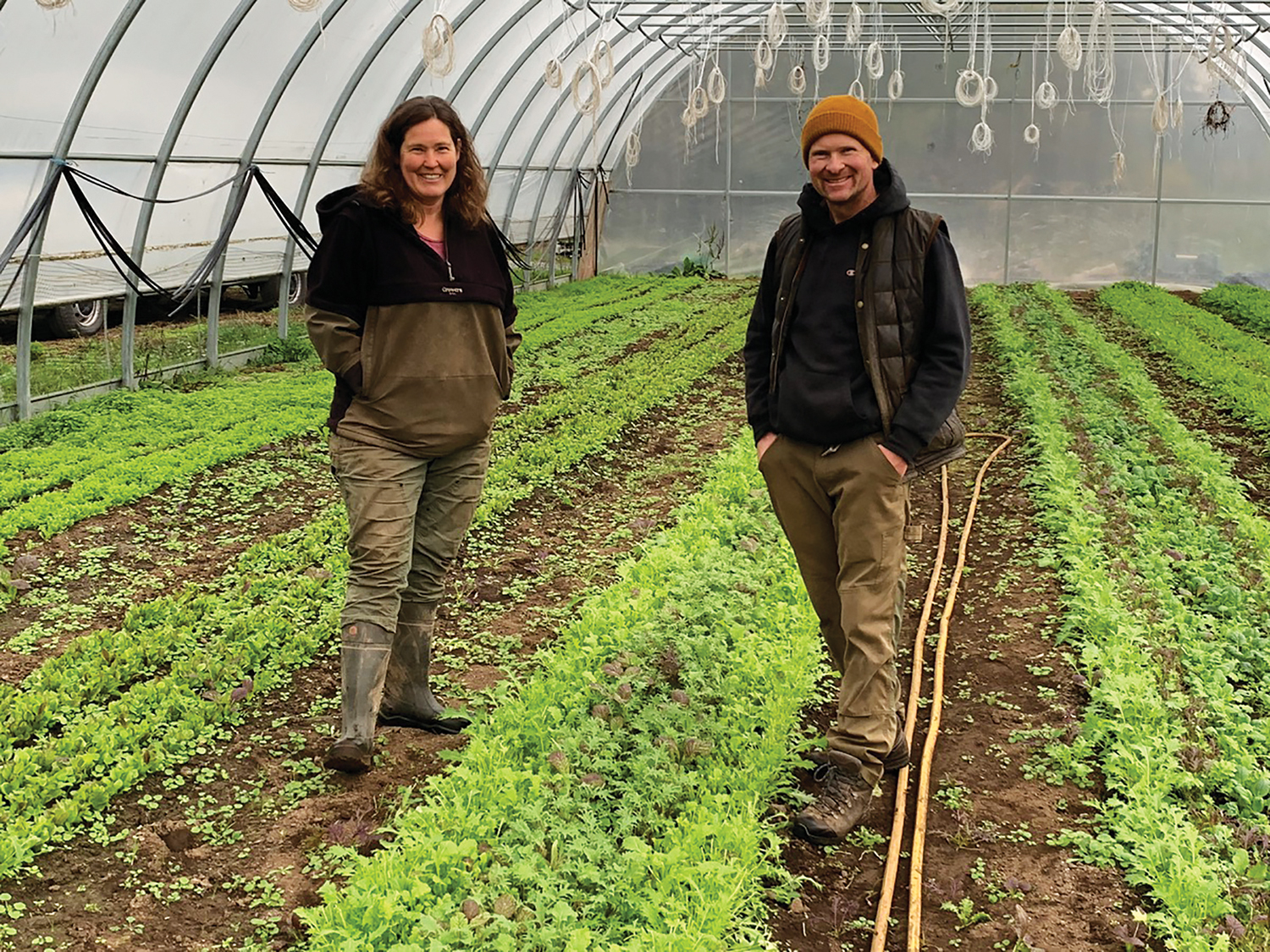 Metchosin farm transitions to new owners with high hopes - Country Life ...