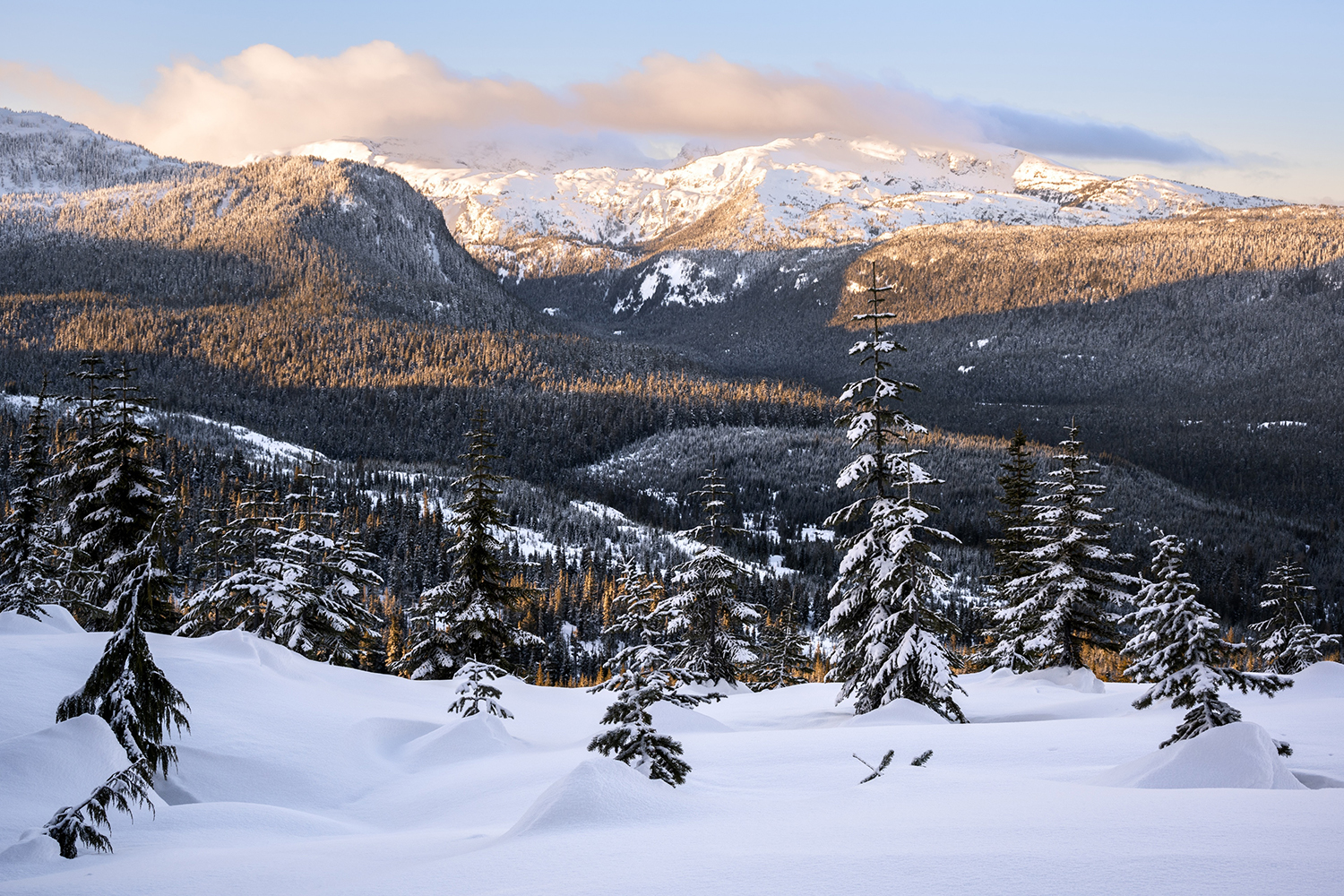 Spring freshet risk low - Country Life in BC