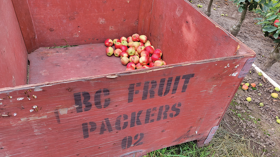 Showdown looms over co-op’s surplus - Country Life in BC