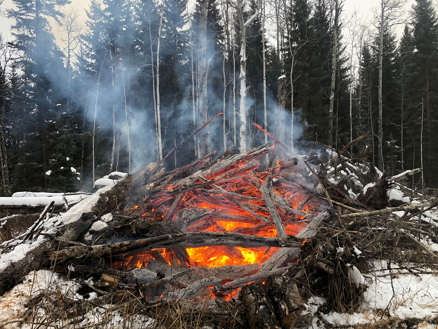 Slash smoke challenge planned - Country Life in BC
