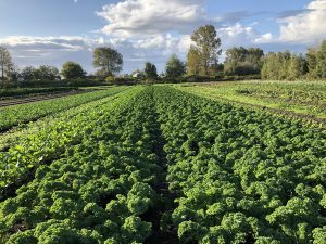 Country Life in BC - The agricultural news source in British Columbia ...
