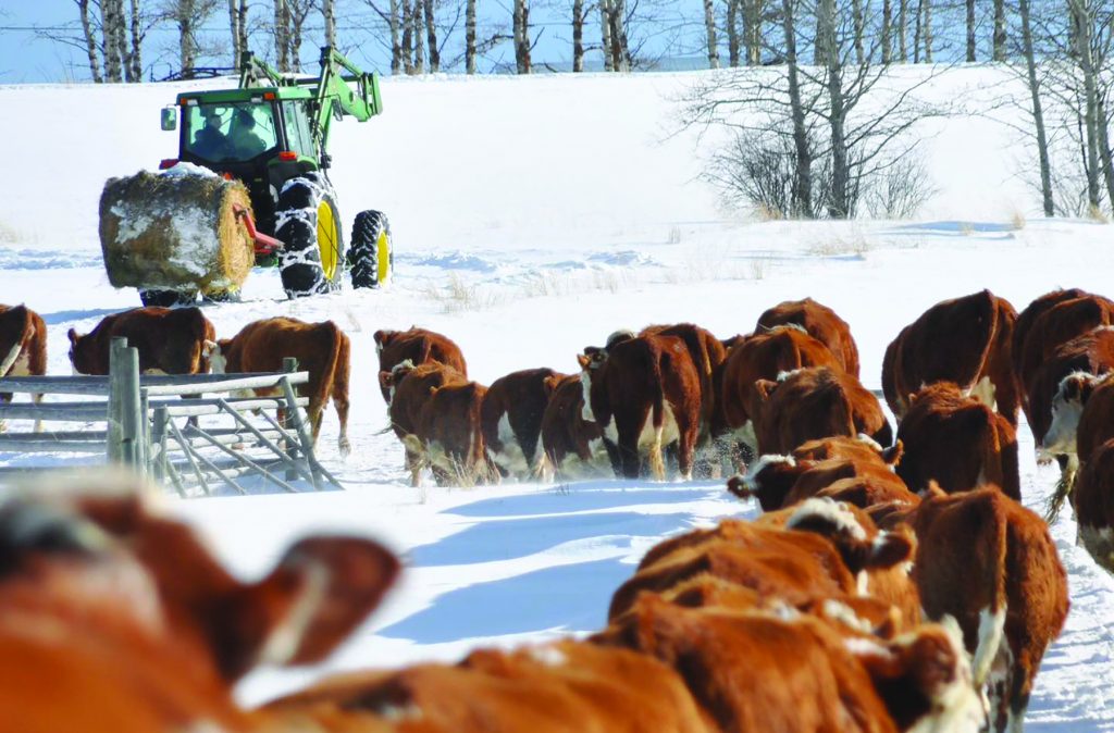 Country Life in BC - The agricultural news source in British Columbia ...