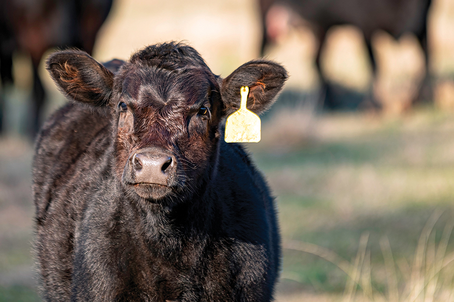 CFIA proposes traceability updates - Country Life in BC